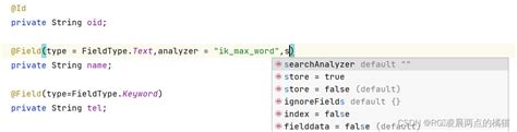 Elasticsearch系列五 Spring Data Elasticsearch 实体类注解说明【专攻系】es实体注解 Csdn博客