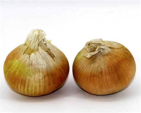 양파 껍질 차로 건강한 몸 만들기 효능과 만드는 방법