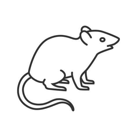 Mouse Outline Vector Art Icons And Graphics For Free Download