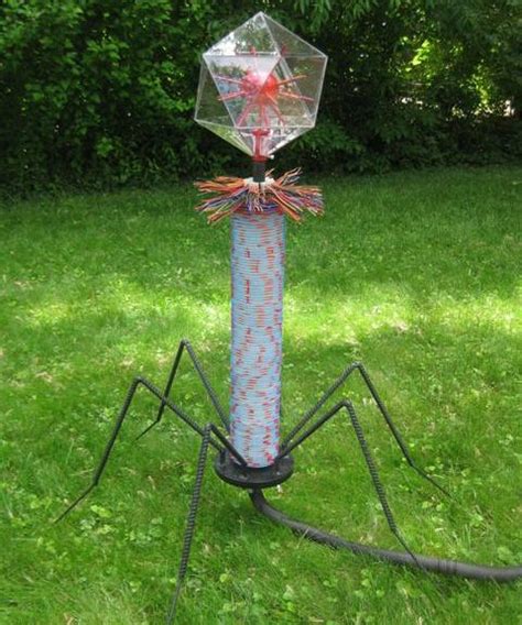 Bacteriophage Model