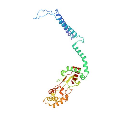 Rcsb Pdb 3mk7 The Structure Of Cbb3 Cytochrome Oxidase