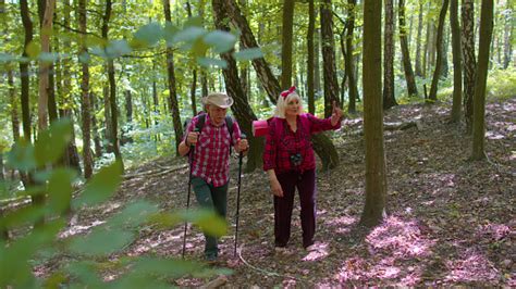 행복한 시니어 남자와 여자 이야기 트레킹 기둥 나무 배낭과 함께 북유럽 산책 훈련 2명에 대한 스톡 사진 및 기타 이미지 2