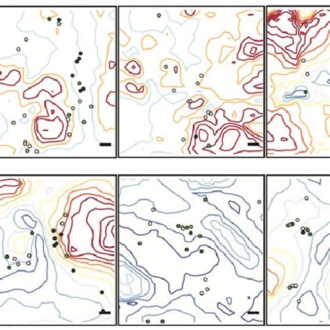Spatial Analysis Of Elastic Modulus G′ Of The Cytoplasm And Traction Download Scientific