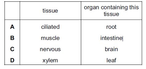 IGCSE Biology Cell Structure IGCSE Style Questions Paper