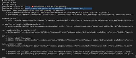 Yarn Add Strapiplugin Graphql Crashes Strapi Admin Plugins Strapi Community Forum