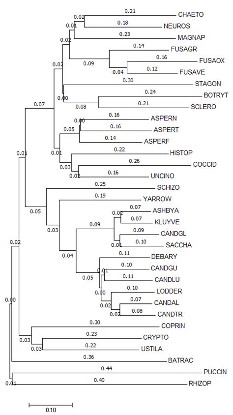 Phylogenetic Tree Using Minimum Evolution Method Download Scientific