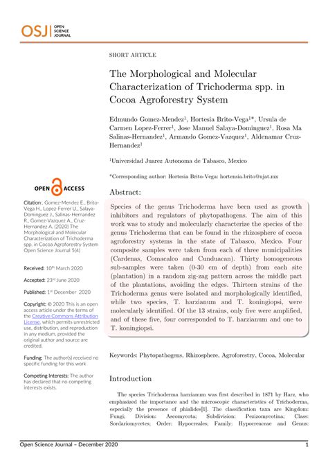Pdf The Morphological And Molecular Characterization Of Trichoderma Spp In Cocoa Agroforestry