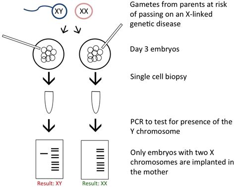 From Petri Dish To Person On Tumblr