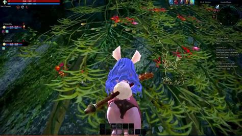 Tera Elin Priest Dungeon Instance Gameplay Hd Youtube