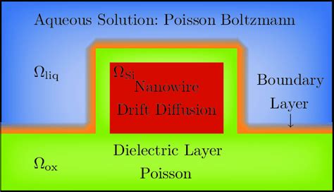 Schematic Cross Section Of The Nanowire Sensor The Different Equations Download Scientific