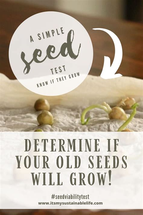 How To Test For Seeds Viability Seed Viability Chart How To Store Seeds Seeds Seed