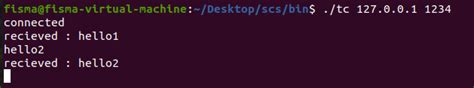 Github Sts08015echo Client Server