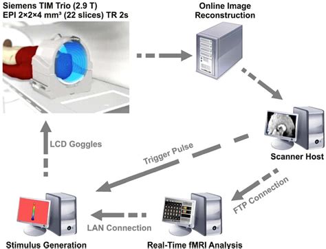 Real Time Fmri Neurofeedback Setup The Real Time Fmri Neurofeedback