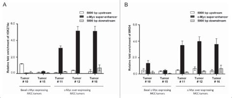 Human Mcc Tumors With C Myc Overexpression Are Associated With High Download Scientific Diagram