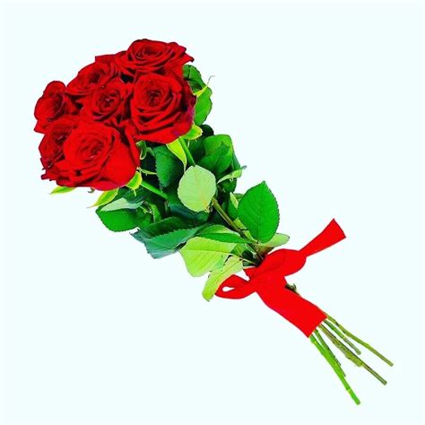 Алые Розы с Лентой, Flowers & Gifts Sharm El-Sheikh, buy at a price of ...