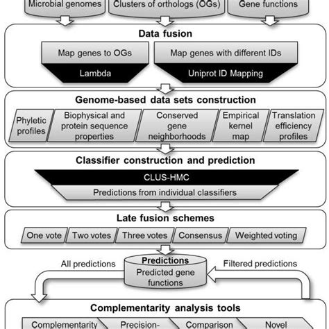 A Pipeline For Automated Function Prediction From Genomic Data Download Scientific Diagram