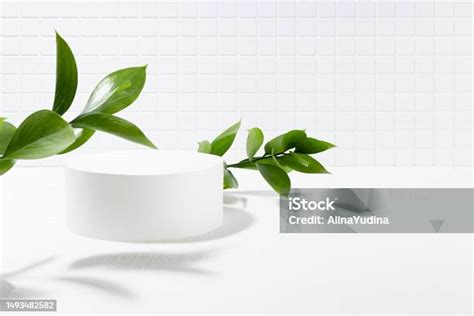 봄 추상적인 흰색 장면 프리젠테이션 화장품 상품 광고 디자인 작은 모자이크 타일 햇빛에 신선한 열대 녹색 잎 우아한 스타일의 그림자를 위한 하나의 실린더 연단 템플릿 강단에