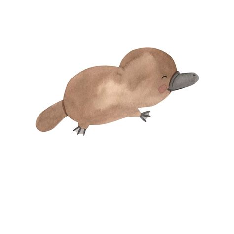아이들을 위한 오리너구리 수채화 그림 프리미엄 벡터