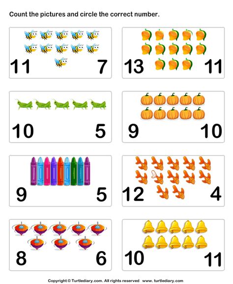 count and identify number of objects turtle diary worksheet
