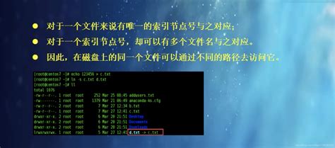 linxu基础学习 四 文件系统组 linxu ln s命令 csdn博客