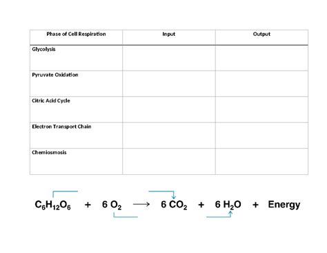 cr input output 1 life 120 phase of cell respiration input output glycolysis pyruvate