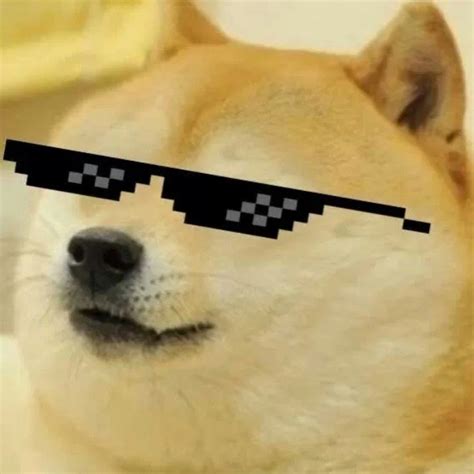 tsml youtube