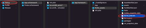 Ios Missing Kernelblobbin File In Release Folder When Build Flutter Code Into Frameworks