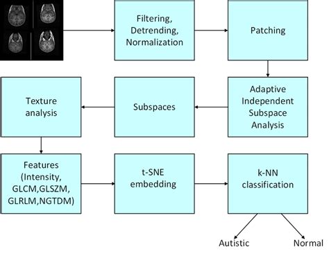 Outline Of Methodology For Classification Of Brain Mri Scans Using Download Scientific Diagram