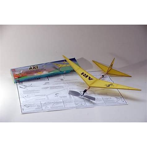 Pm Model 1001 Arı Lastik Motorlu Demonte Serbest Uçuş Modeli