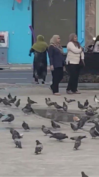 Gdp2만이슬람관광천국몰디브주도말레뷰인도양바다서울gdp20000islamictourismheavenmaldiveshulhumalesum