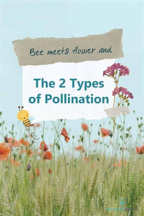 Bee Meets Flower Is Not The Only Way To Pollinate Here Are The Two Types Of Pollination Earth
