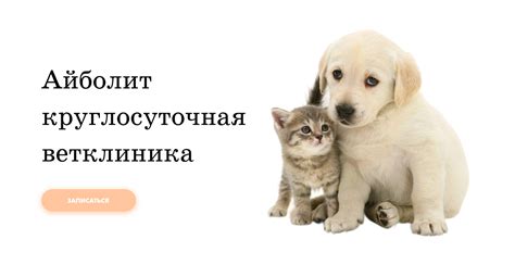 GitHub Ann Philippova Aibolit Web