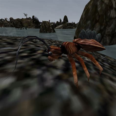 Tamriel Data Ornada Uesp Wiki The Unofficial Elder Scrolls Pages