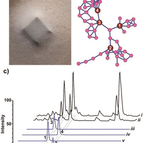 A Pseudoxylaria Sp X187 With Guttation Droplets On Pda B Gnps Download Scientific Diagram