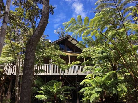 Treehouse Rentals In Hawaii Thatll Elevate Your Tropical Getaway Territory Supply