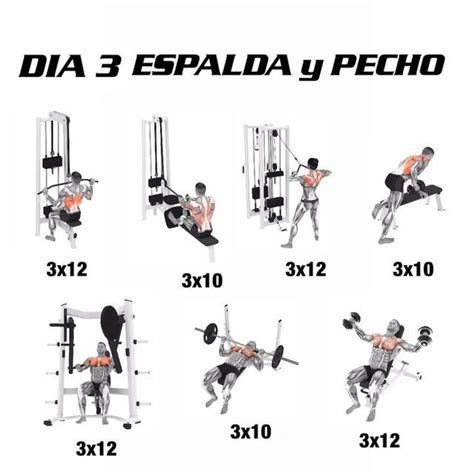 Plan De Ejercicios Semanal En El Gym At Jane Mcgary Blog