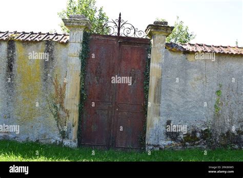 Rusty Gate With Ivy Stock Photo Alamy