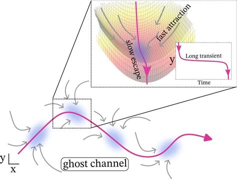 New Mathematical Framework To Understand Dynamics Of Natural Systems