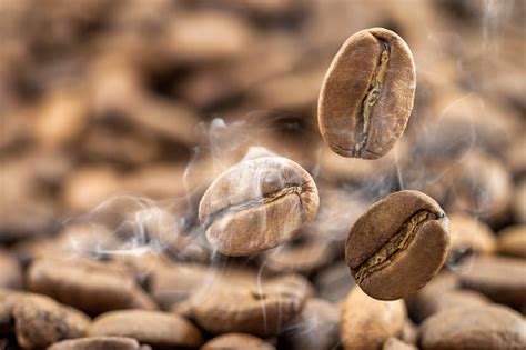 복사 공간 배경으로 신선한 커피 원두를 비행 화이트와 아래로 떨어지는 커피 콩 증기 수증기 0명에 대한 스톡 사진 및 기타 이미지 Istock