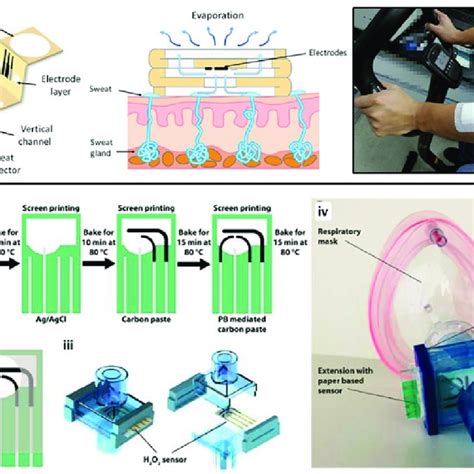 Pdf Paper Based Screen Printed Electrodes A New Generation Of Low Cost Electroanalytical