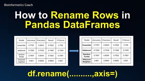 How To Rename Rows In Pandas Dataframes YouTube