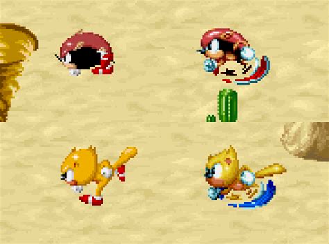 Sonic Mania Plus Full Mighty And Ray Sprite Sheet By Winstontheechidna Vrogue