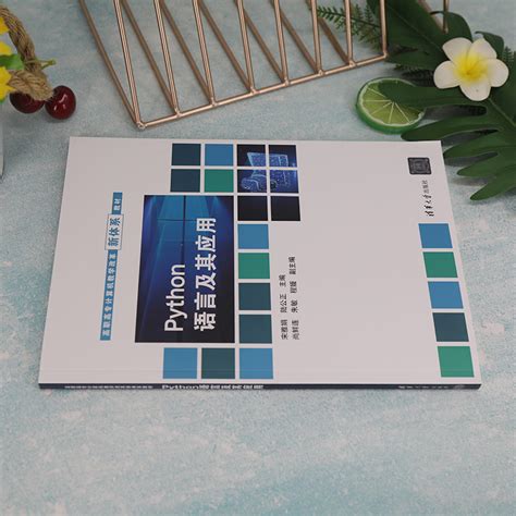 【官方正版新书】 Python语言及其应用宋雅娟清华大学出版社软件工具程序设计高等职业教育教材虎窝淘