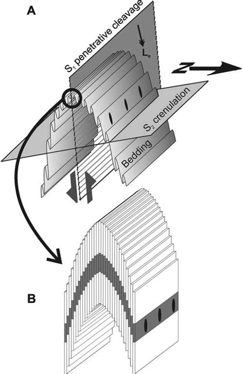 A Diagram Showing The Geometrical Relationship Between Bedding