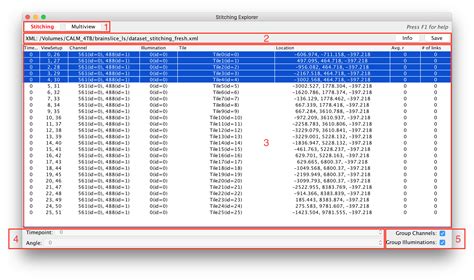 Bigstitcher Stitching Mode Imagej