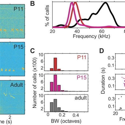 Pdf Experience Dependent Over Representation Of Ultrasonic Vocalization Frequencies In The Rat