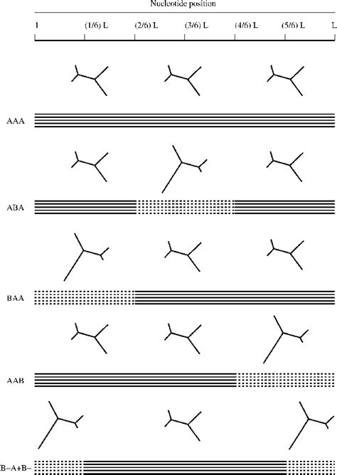 Example Of Five Partitioned Models For N Sequences Of L Nucleotides