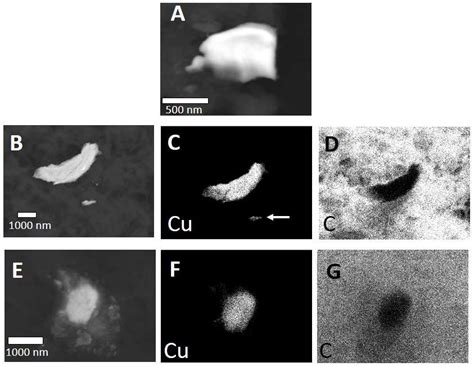 Bse Sem Micrographs And Edx Chemical Maps Of Particulates Wiped From