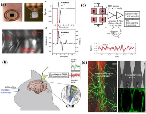 A Mtj Sensor Array And The In Vitro Experimental Set Up Demonstrating