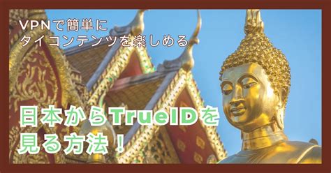 Vermuda Choice Vermuda Llc